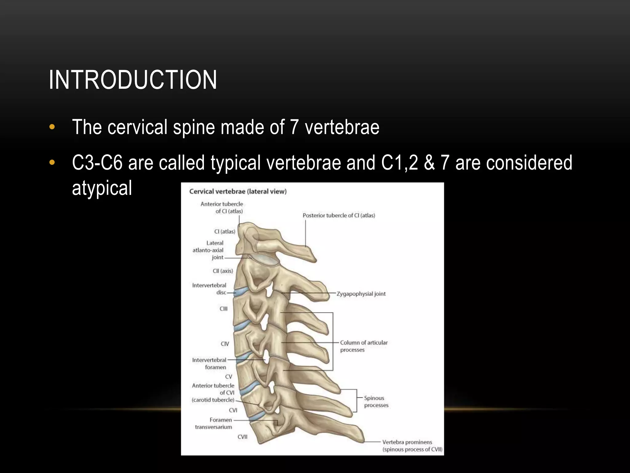 Anatomy of cervical spine | PPTX