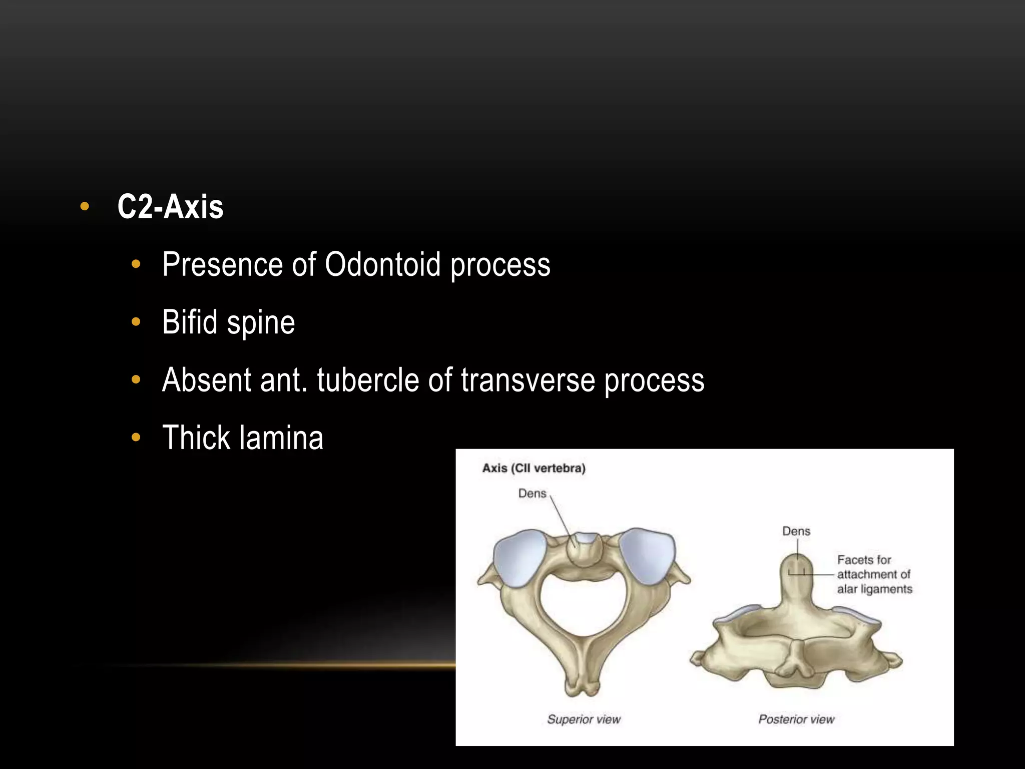 Anatomy of cervical spine | PPTX