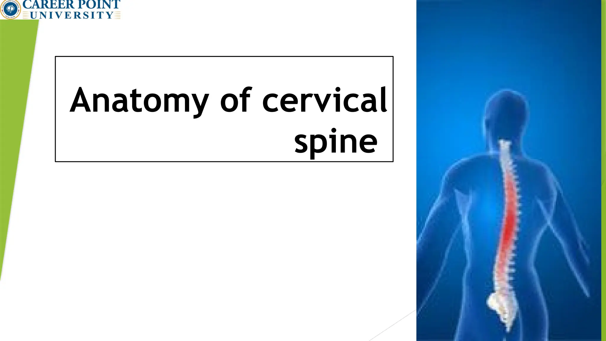 Anatomy of cervical spine by akash Nagar 21. pptx | PPTX