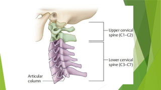 Anatomy of cervical spine by akash Nagar 21. pptx | PPTX