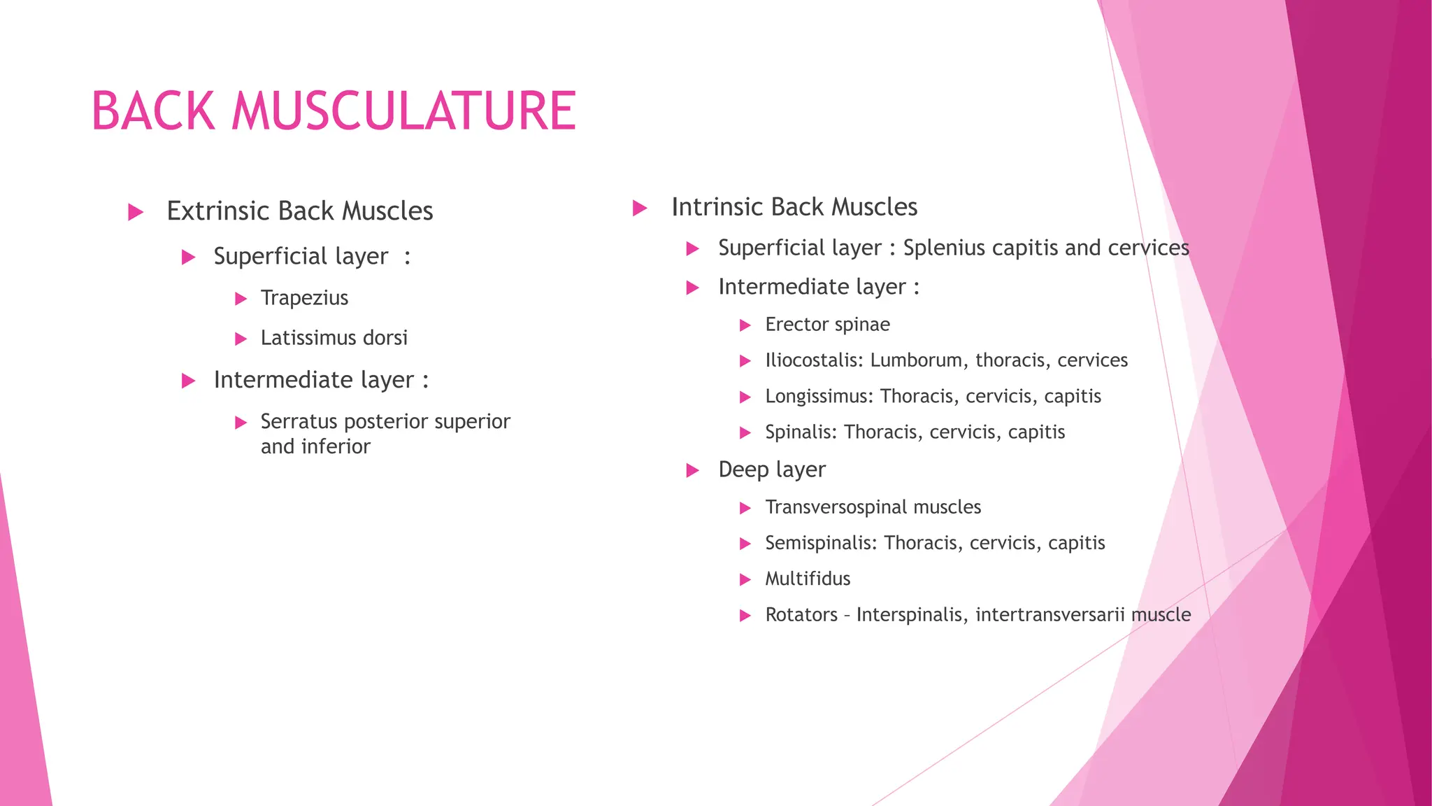 Anatomy of Cervical, Thoracal, Lumbar, Sacral Vertebrae.pptx