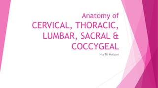 Anatomy of Cervical, Thoracal, Lumbar, Sacral Vertebrae.pptx