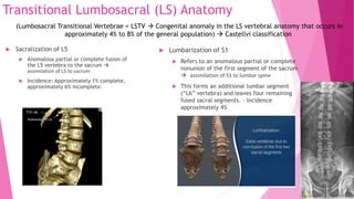 Anatomy of Cervical, Thoracal, Lumbar, Sacral Vertebrae.pptx