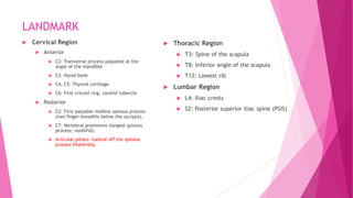 Anatomy of Cervical, Thoracal, Lumbar, Sacral Vertebrae.pptx