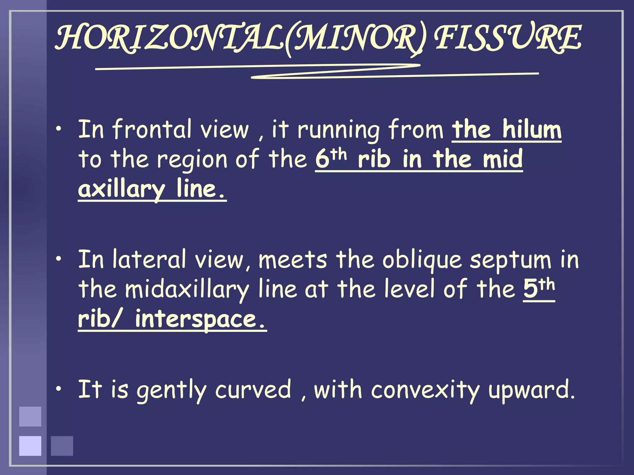 radiology anatomy of chest.ppt