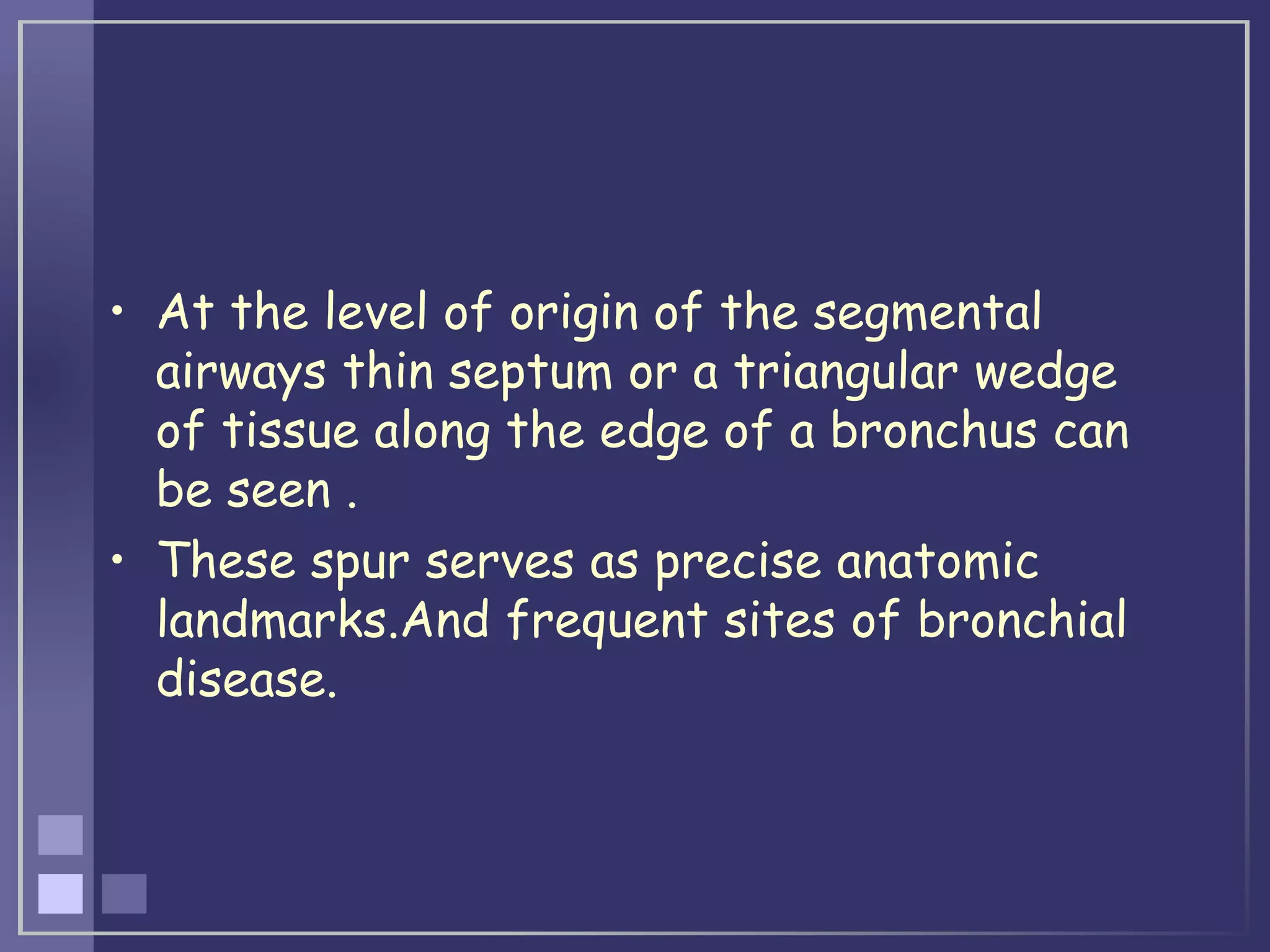 radiology anatomy of chest.ppt