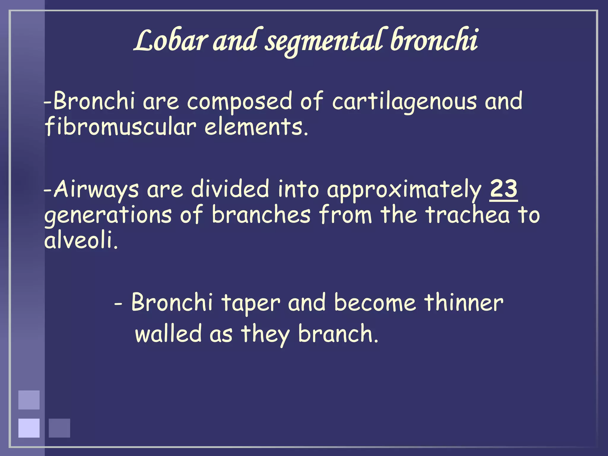 radiology anatomy of chest.ppt