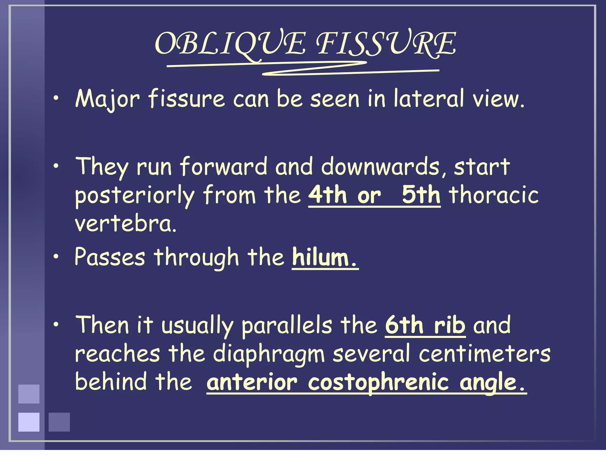 radiology anatomy of chest.ppt