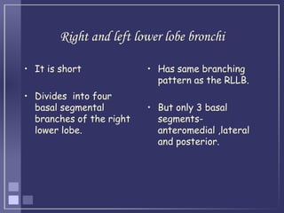 radiology anatomy of chest.ppt