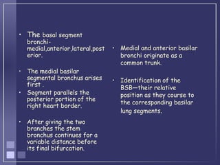 radiology anatomy of chest.ppt