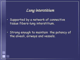 radiology anatomy of chest.ppt