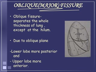 radiology anatomy of chest.ppt