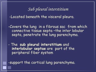 radiology anatomy of chest.ppt