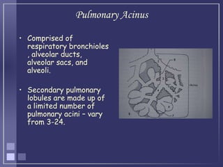 radiology anatomy of chest.ppt