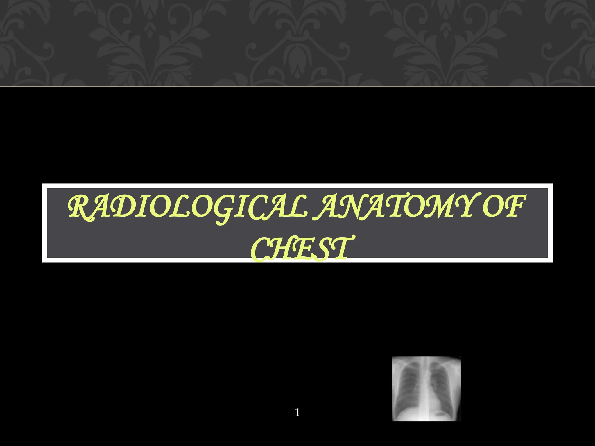 anatomy of chest in radiograph radiology.ppt