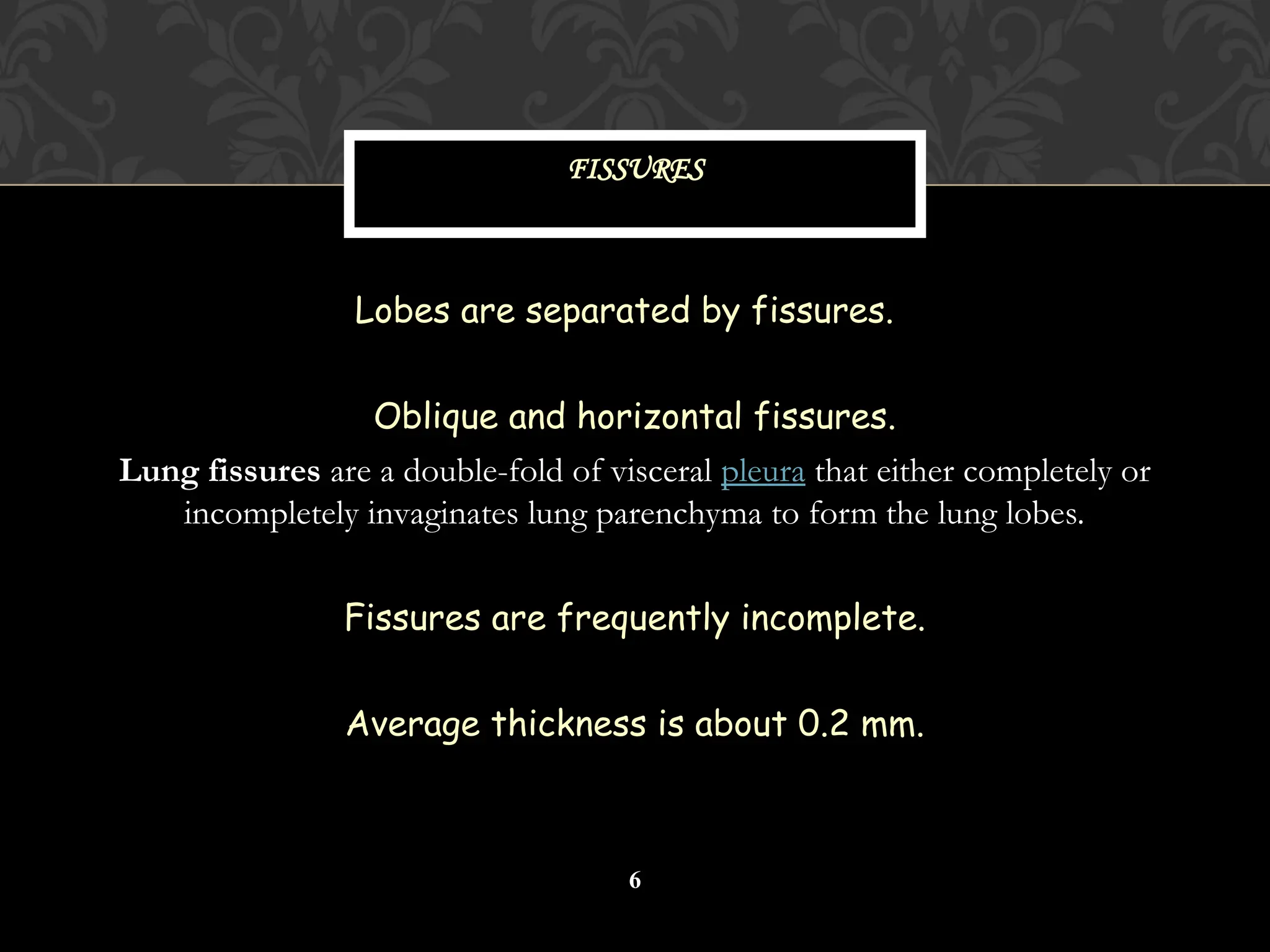 anatomy of chest in radiograph radiology.ppt