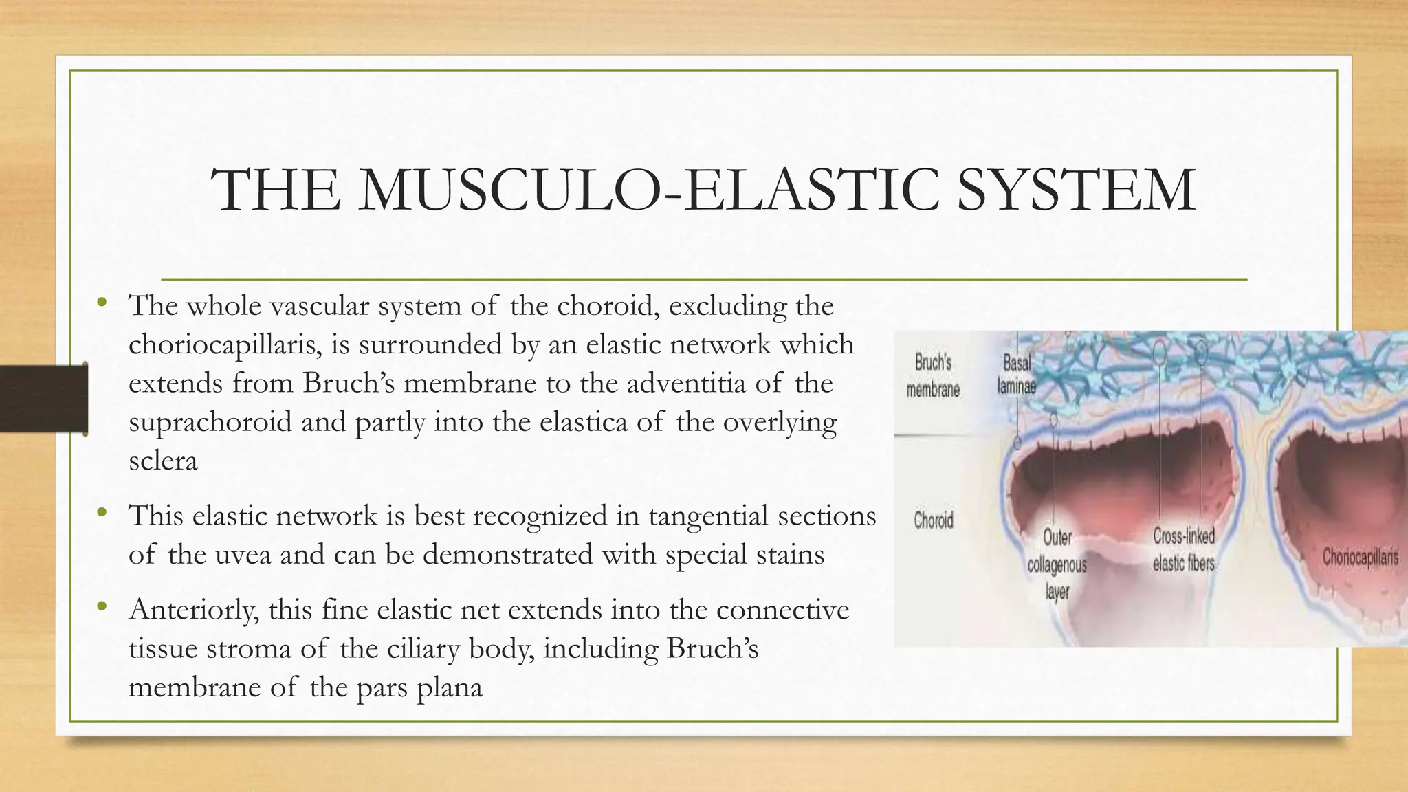 ANATOMY OF CHOROID.pptx