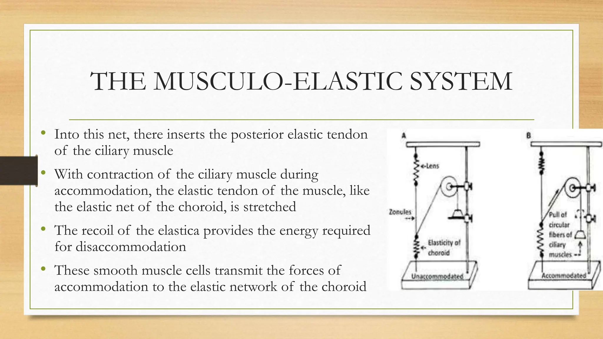 ANATOMY OF CHOROID.pptx