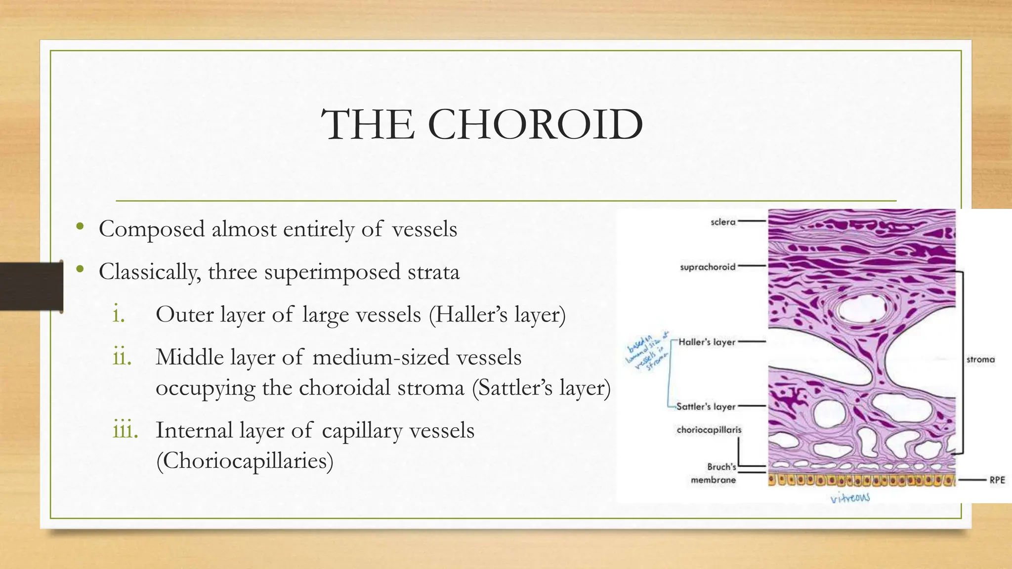 ANATOMY OF CHOROID.pptx