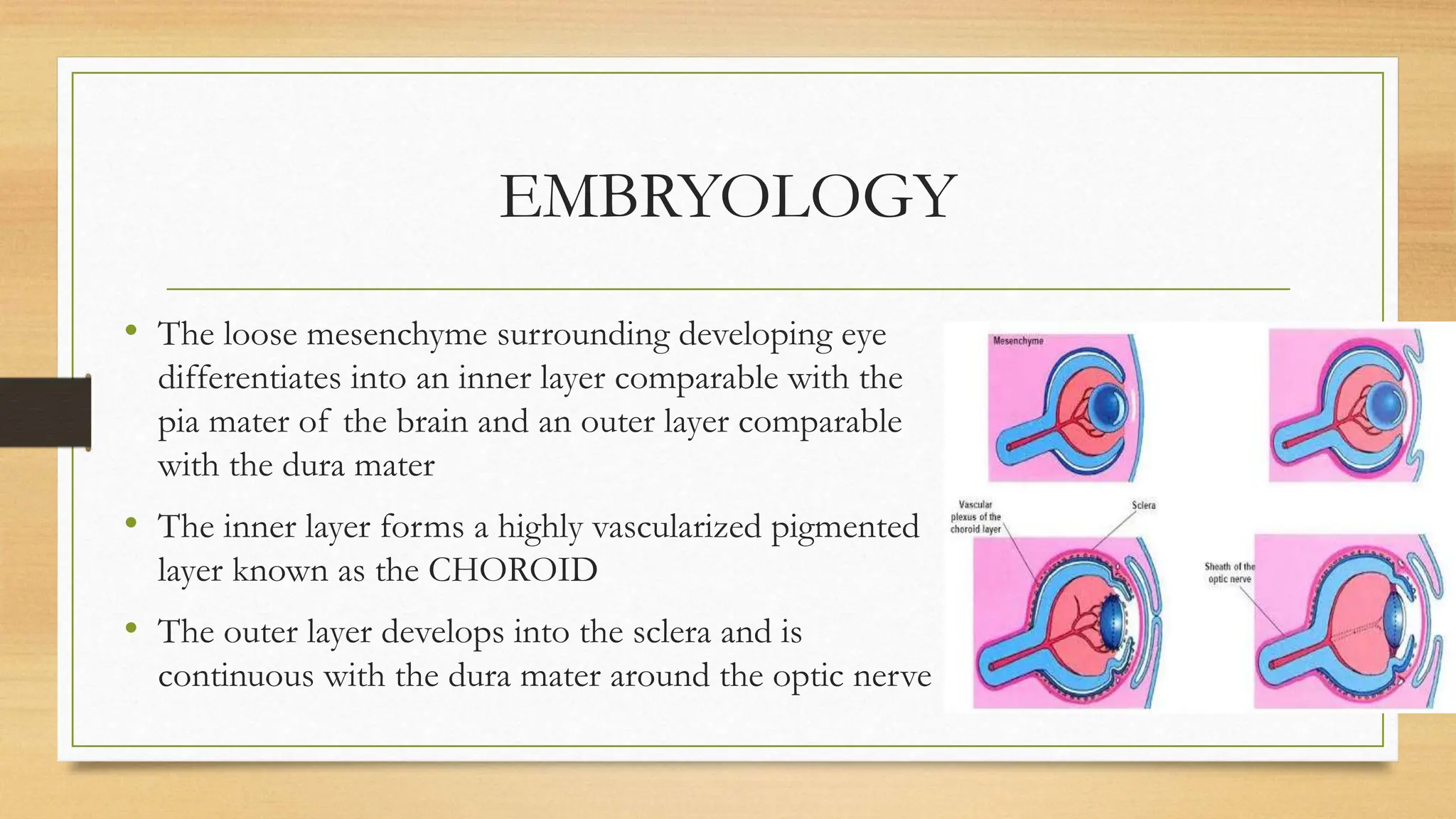 ANATOMY OF CHOROID.pptx