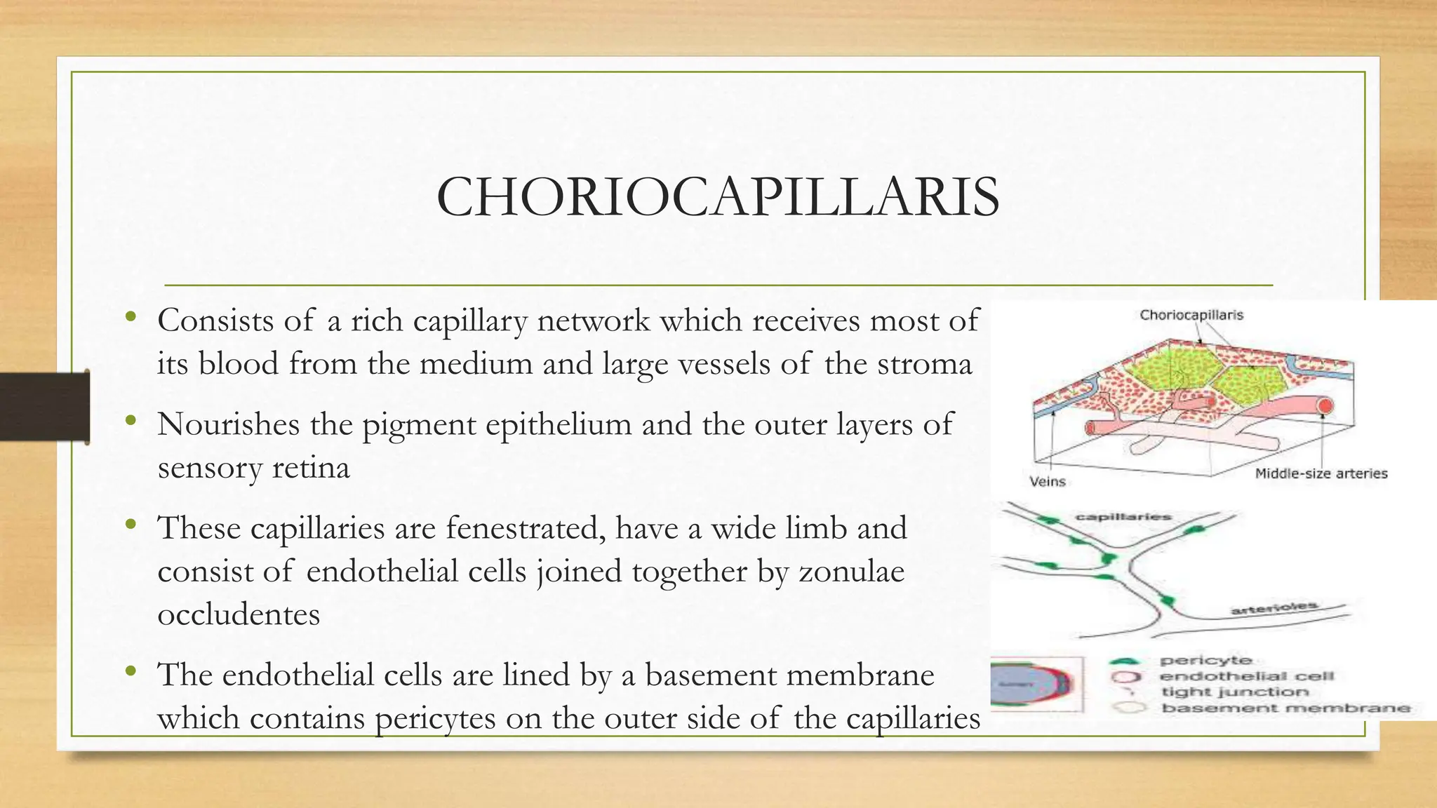 ANATOMY OF CHOROID.pptx