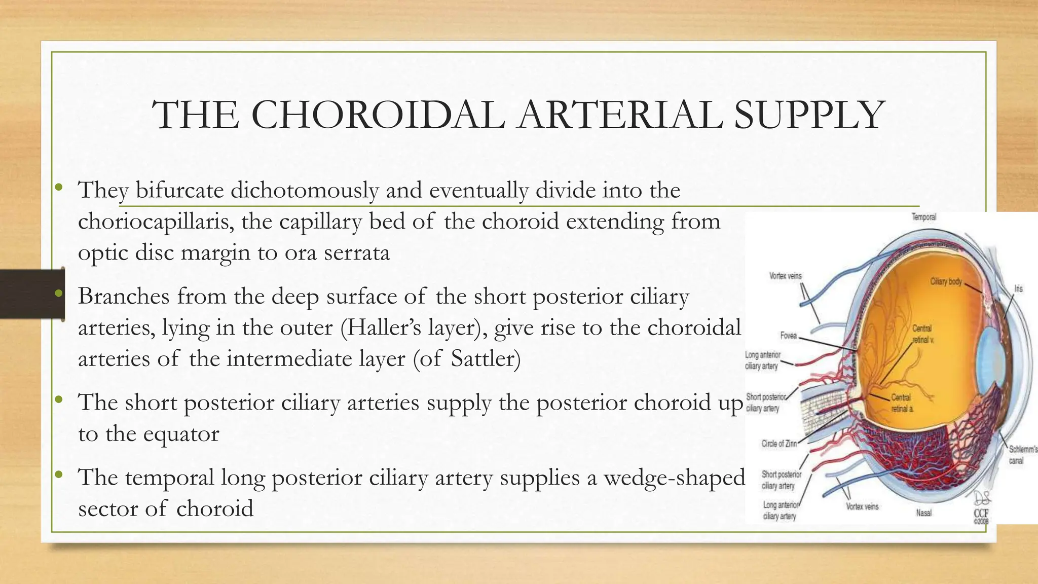 ANATOMY OF CHOROID.pptx