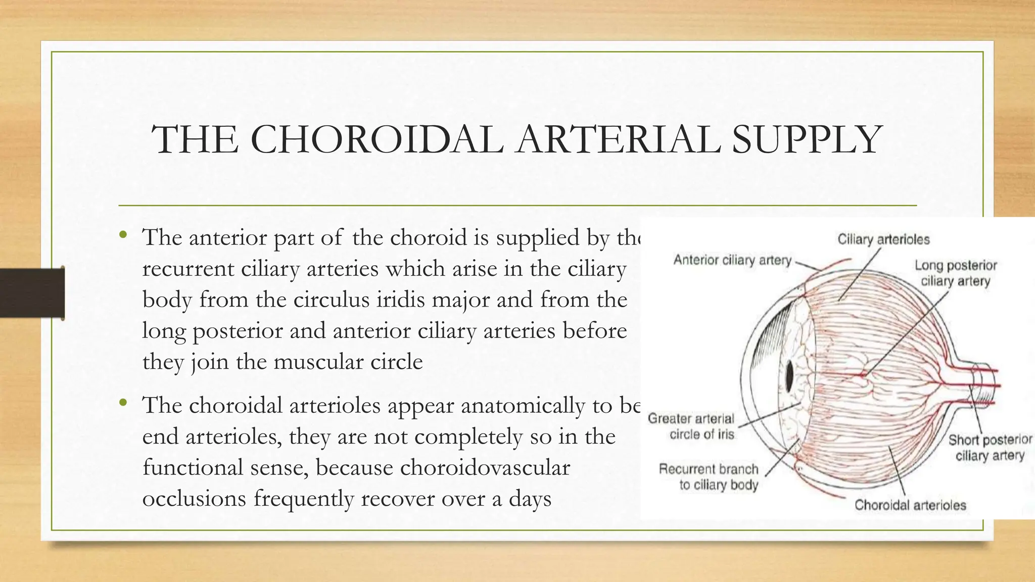 ANATOMY OF CHOROID.pptx