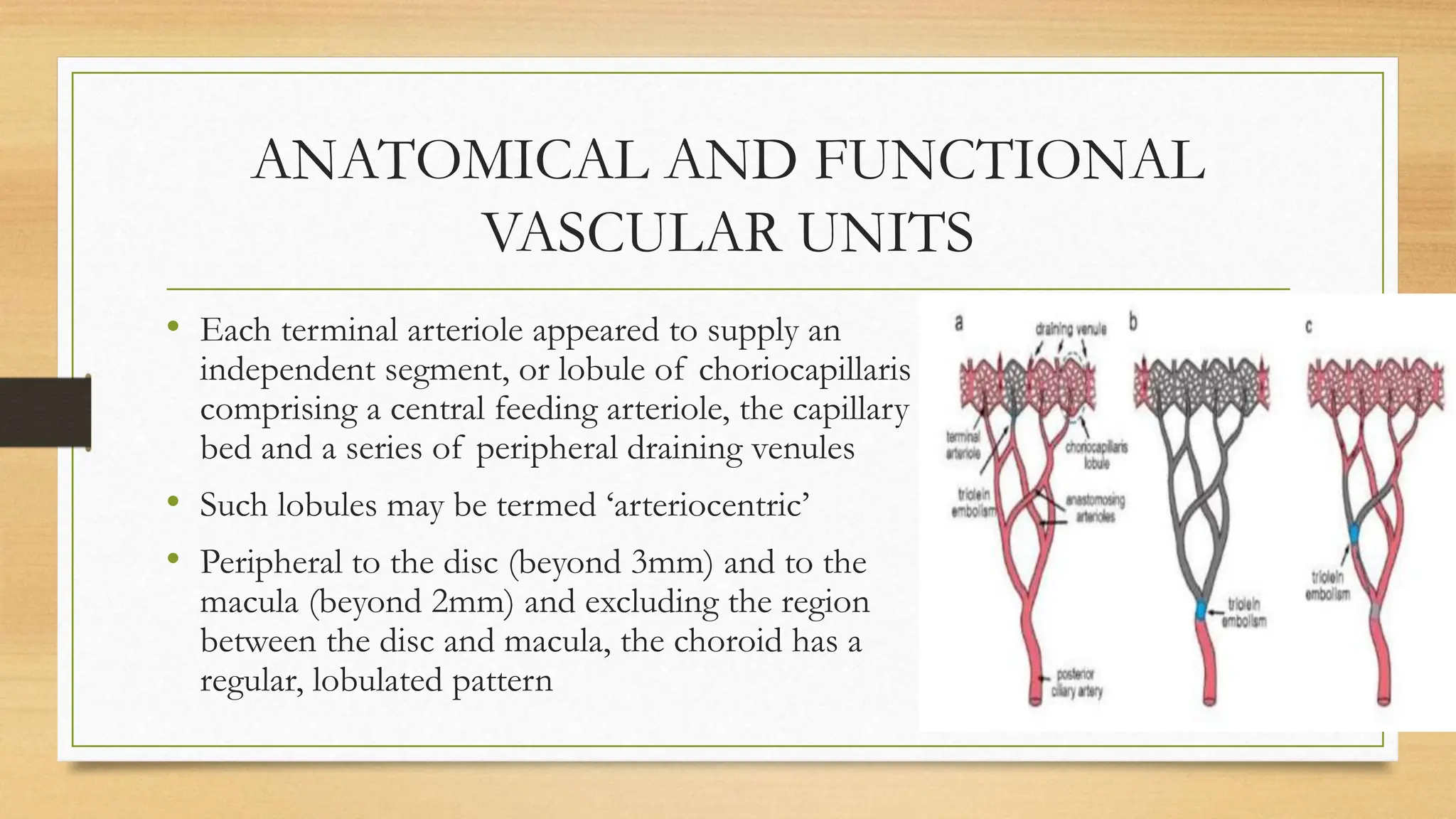 ANATOMY OF CHOROID.pptx