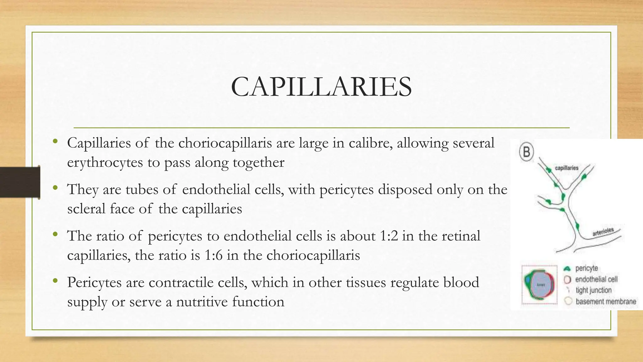 ANATOMY OF CHOROID.pptx