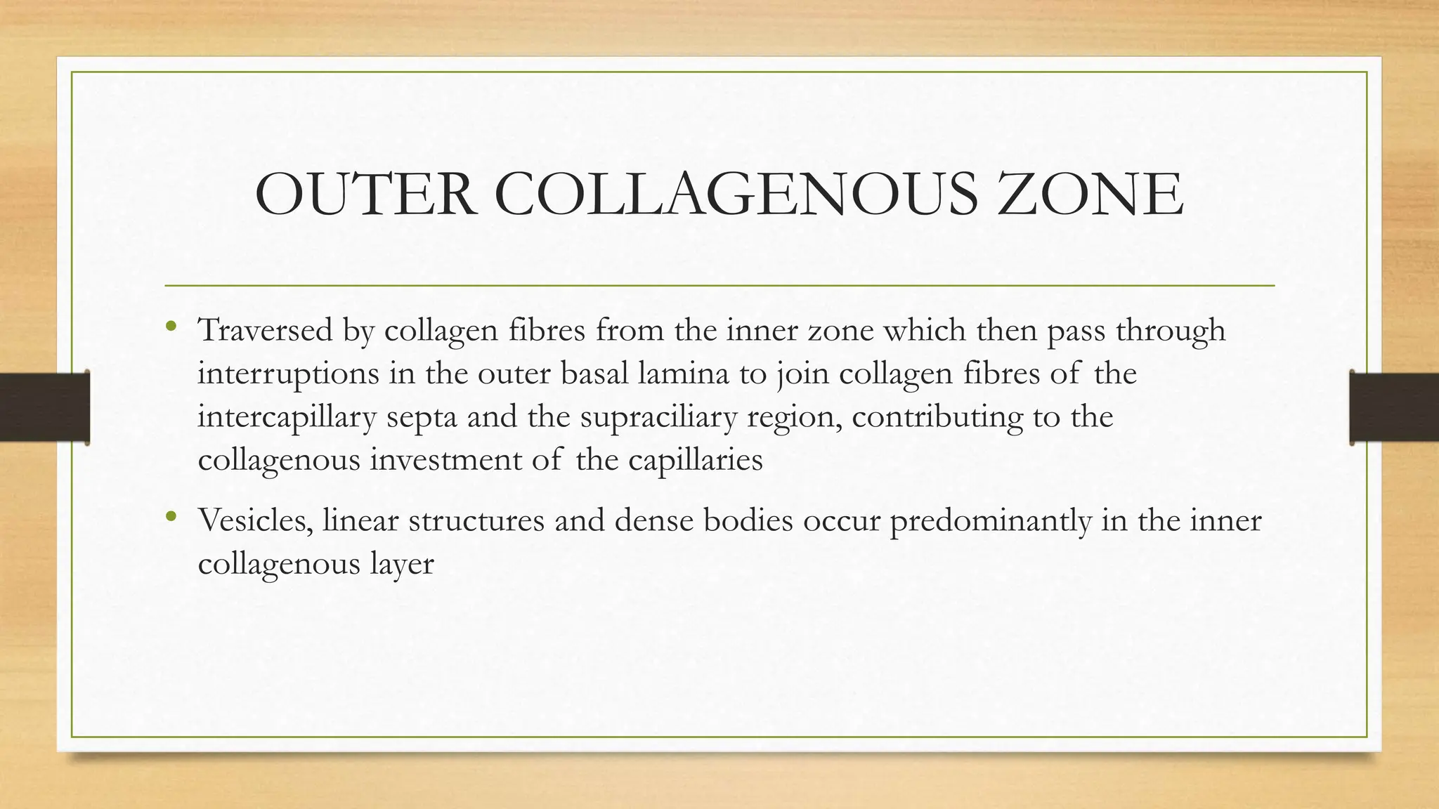 ANATOMY OF CHOROID.pptx