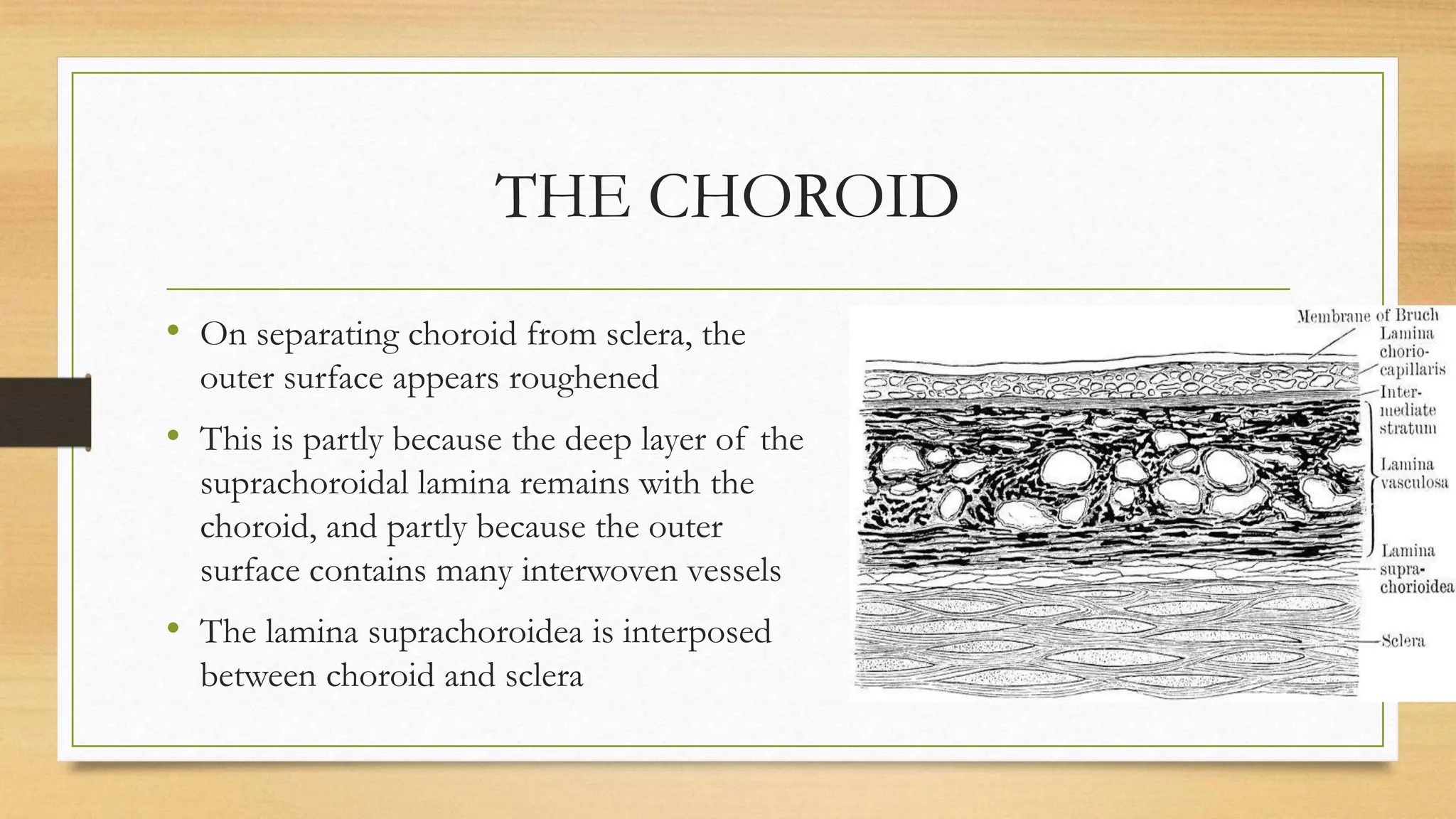 ANATOMY OF CHOROID.pptx