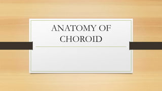 ANATOMY OF CHOROID.pptx
