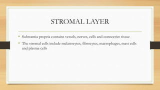 ANATOMY OF CHOROID.pptx