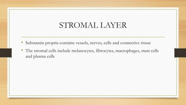 ANATOMY OF CHOROID.pptx