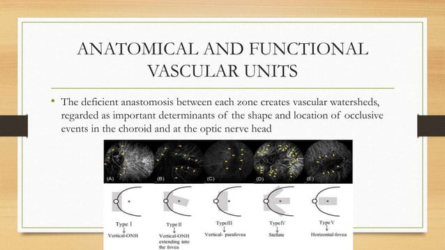 ANATOMY OF CHOROID.pptx