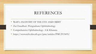 ANATOMY OF CHOROID.pptx