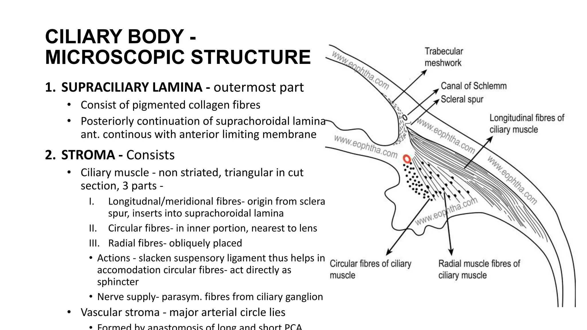 ANATOMY OF CILIARY BODY, IRIS AND CHOROID.ppt