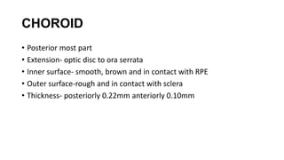 ANATOMY OF CILIARY BODY, IRIS AND CHOROID.ppt