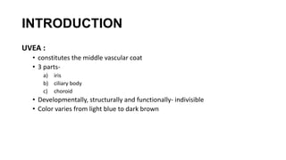 ANATOMY OF CILIARY BODY, IRIS AND CHOROID.ppt