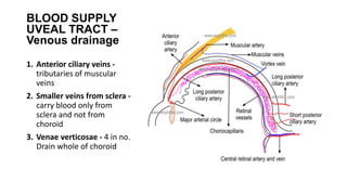 ANATOMY OF CILIARY BODY, IRIS AND CHOROID.ppt