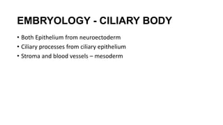 ANATOMY OF CILIARY BODY, IRIS AND CHOROID.ppt