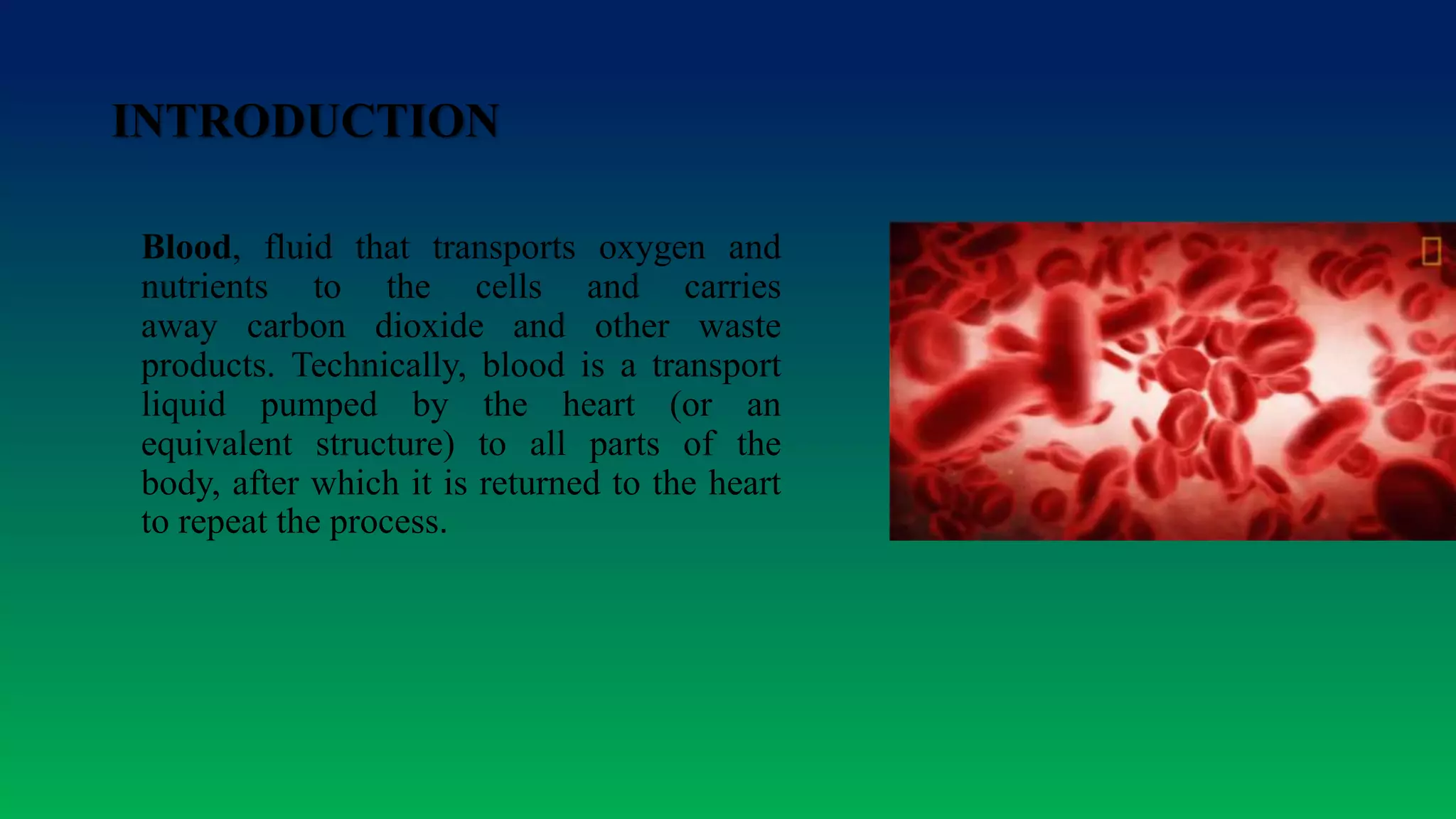 Anatomy of Circulatory system and lymphatic system | PPTX