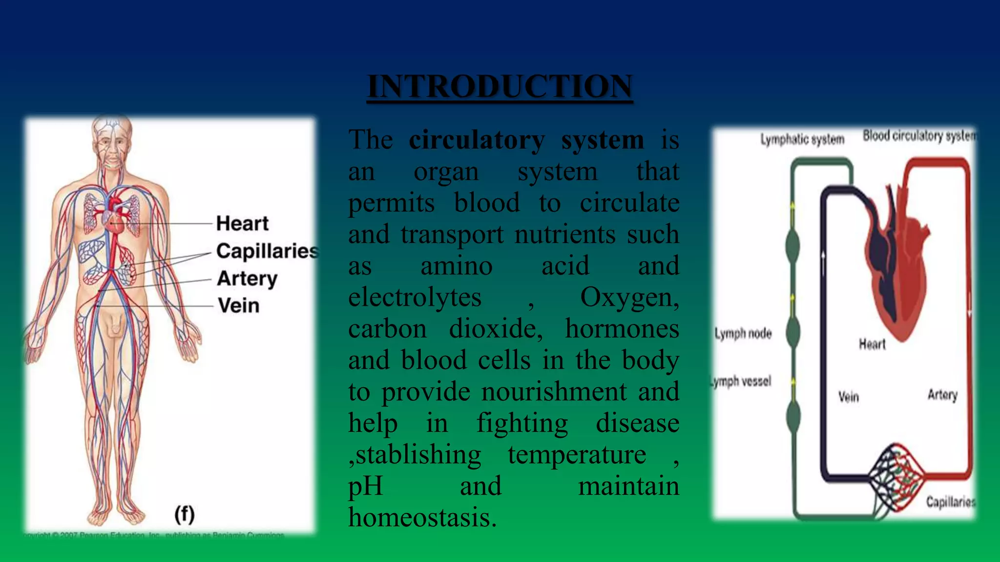 Anatomy of Circulatory system and lymphatic system | PPTX