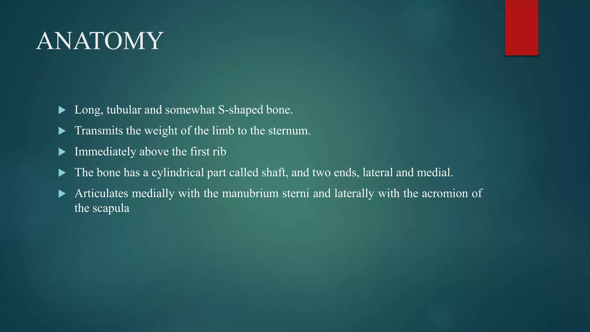 Anatomy of clavicle | PPT