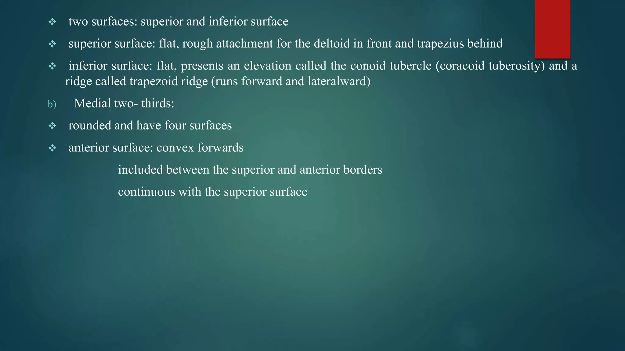 Anatomy of clavicle | PPTX