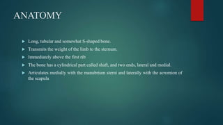 Anatomy of clavicle | PPTX