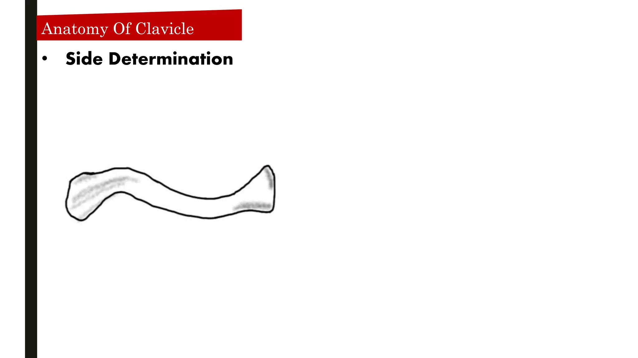 Anatomy Of Clavicle Normal copy (1) (1).pptx