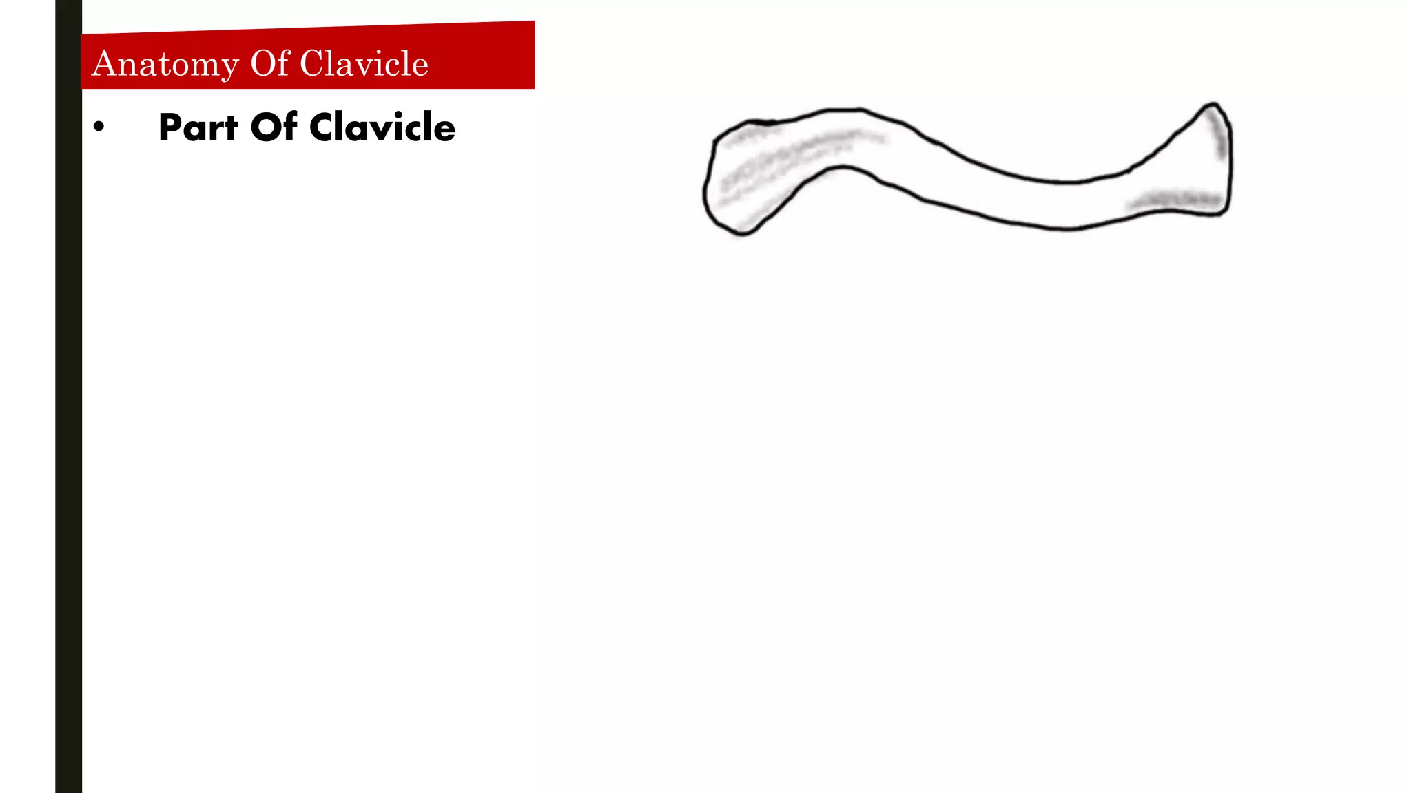 Anatomy Of Clavicle Normal copy (1) (1).pptx