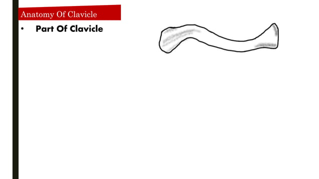 Anatomy Of Clavicle Normal copy (1) (1).pptx