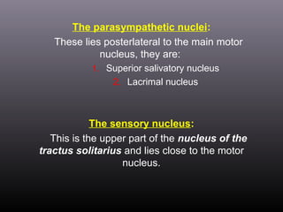 Anatomy of Cranial Nerves 5,7,8 | PPT